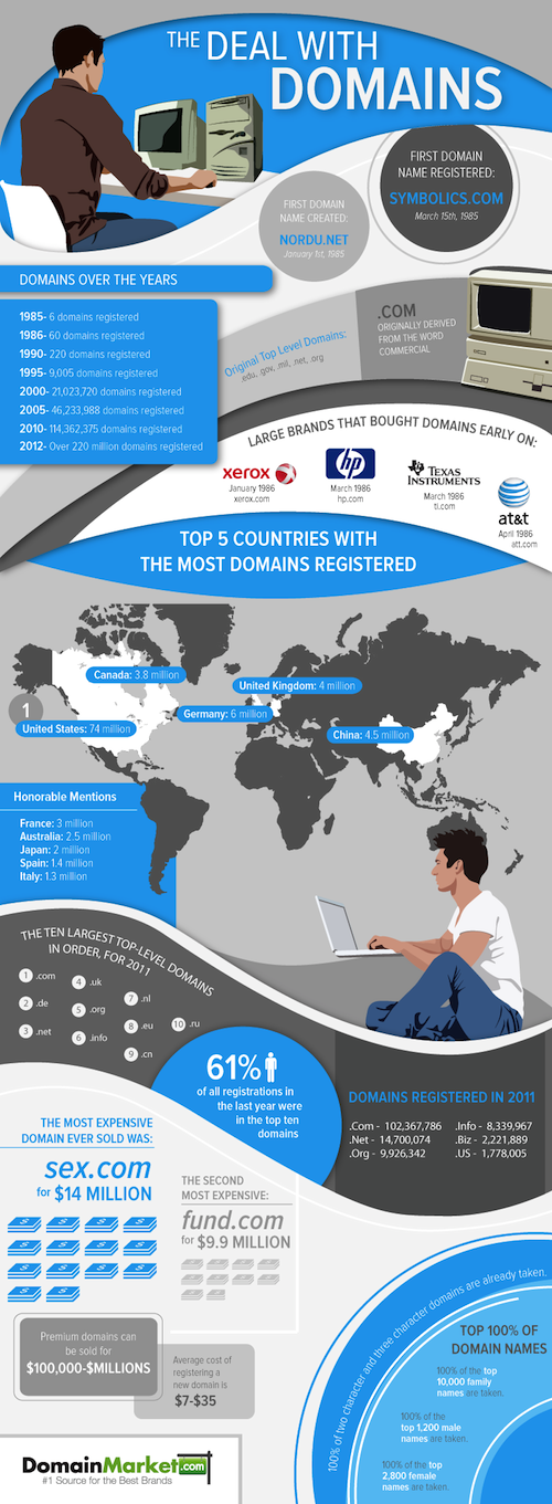 Domain Infographic from Domain Market | DomainInvesting.com